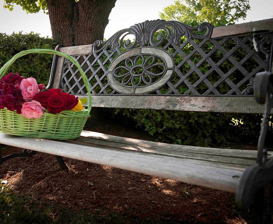 Photo Gallery - Marian Manor